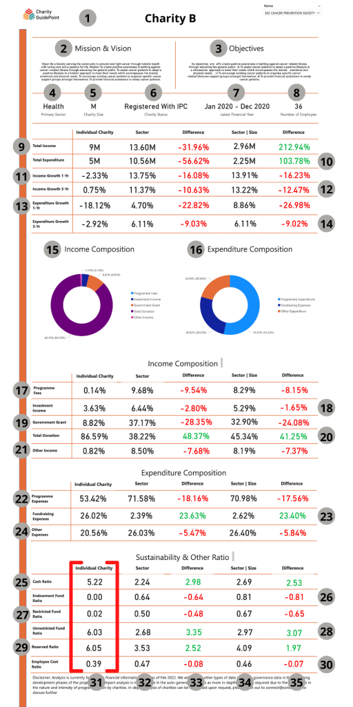 Individual Charity Report Sample – Charity GuidePoint