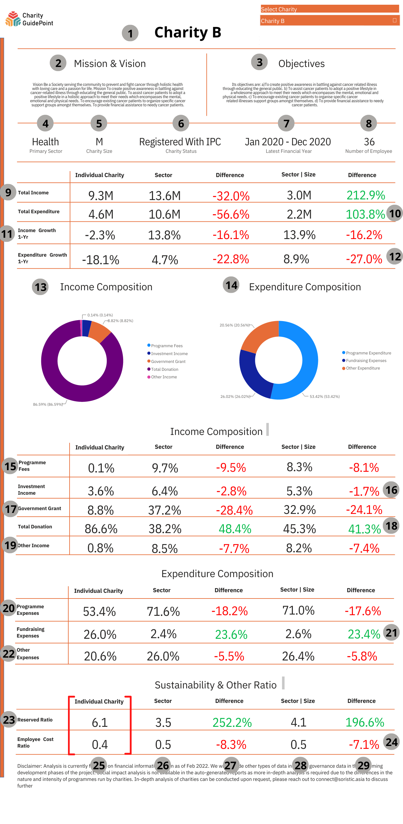 Individual Charity Report Sample