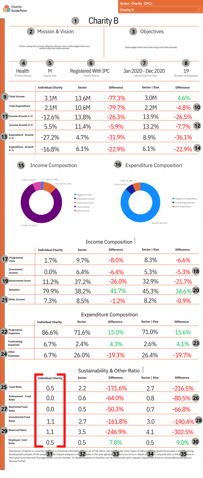 Individual Charity Report Sample